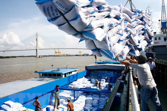 Exceeding Thailand, Vietnam becomes world's 2nd largest rice exporter ...