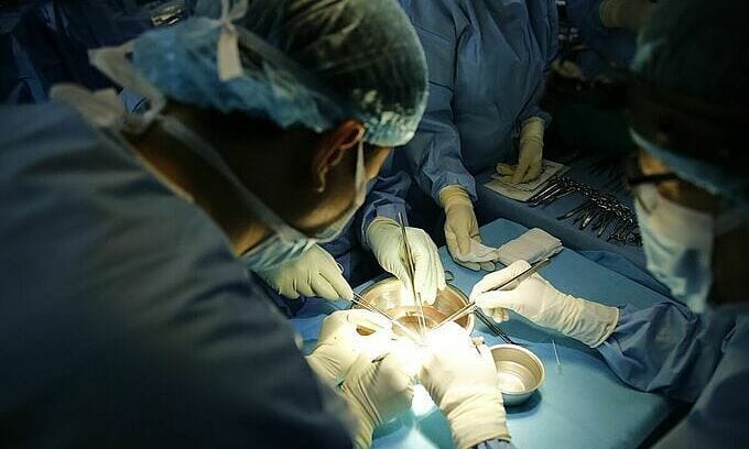 Vietnam successfully performs intestinal transplant from a live donor ...