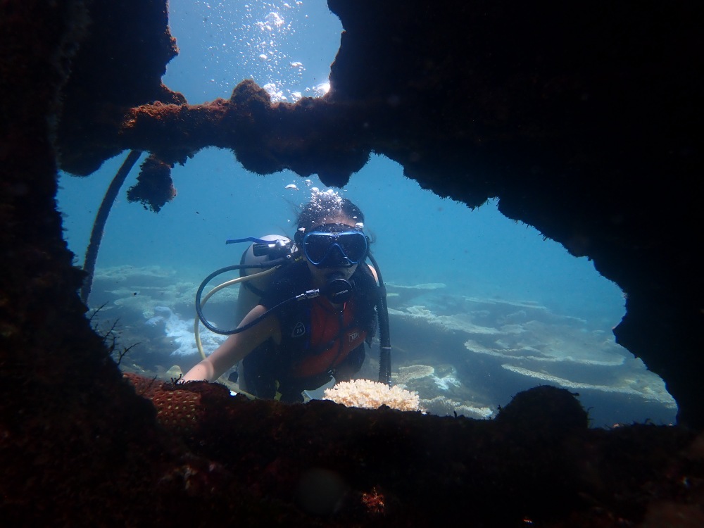 Adventure Diving to Explore Shipwrecks in Con Dao - Vietnam Insider