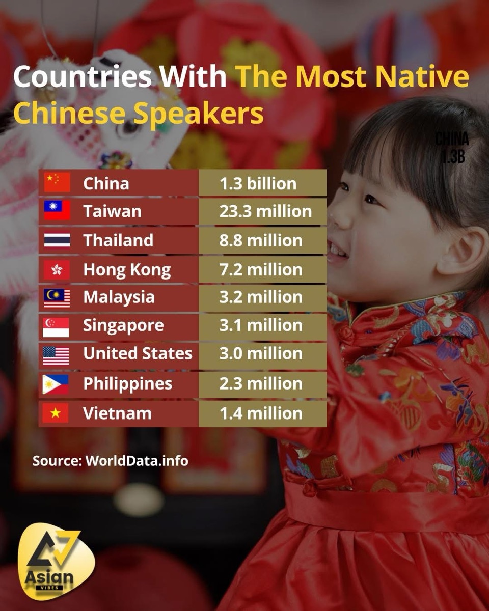Vietnam Among Top Countries by Native Chinese Speakers. Here’s Why ...